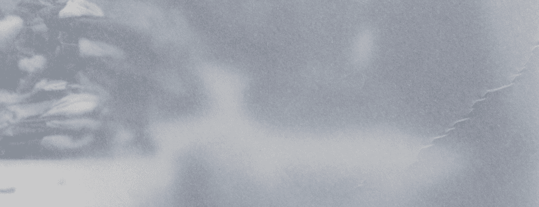 About us | Transparency Pledge