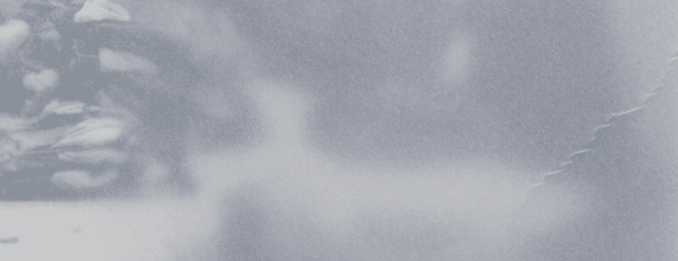 About us | Transparency Pledge